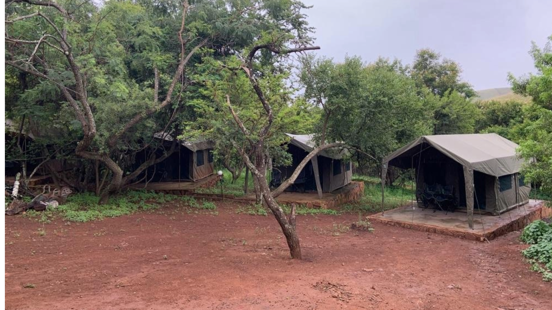 Tented camp – Cowley Wildlife